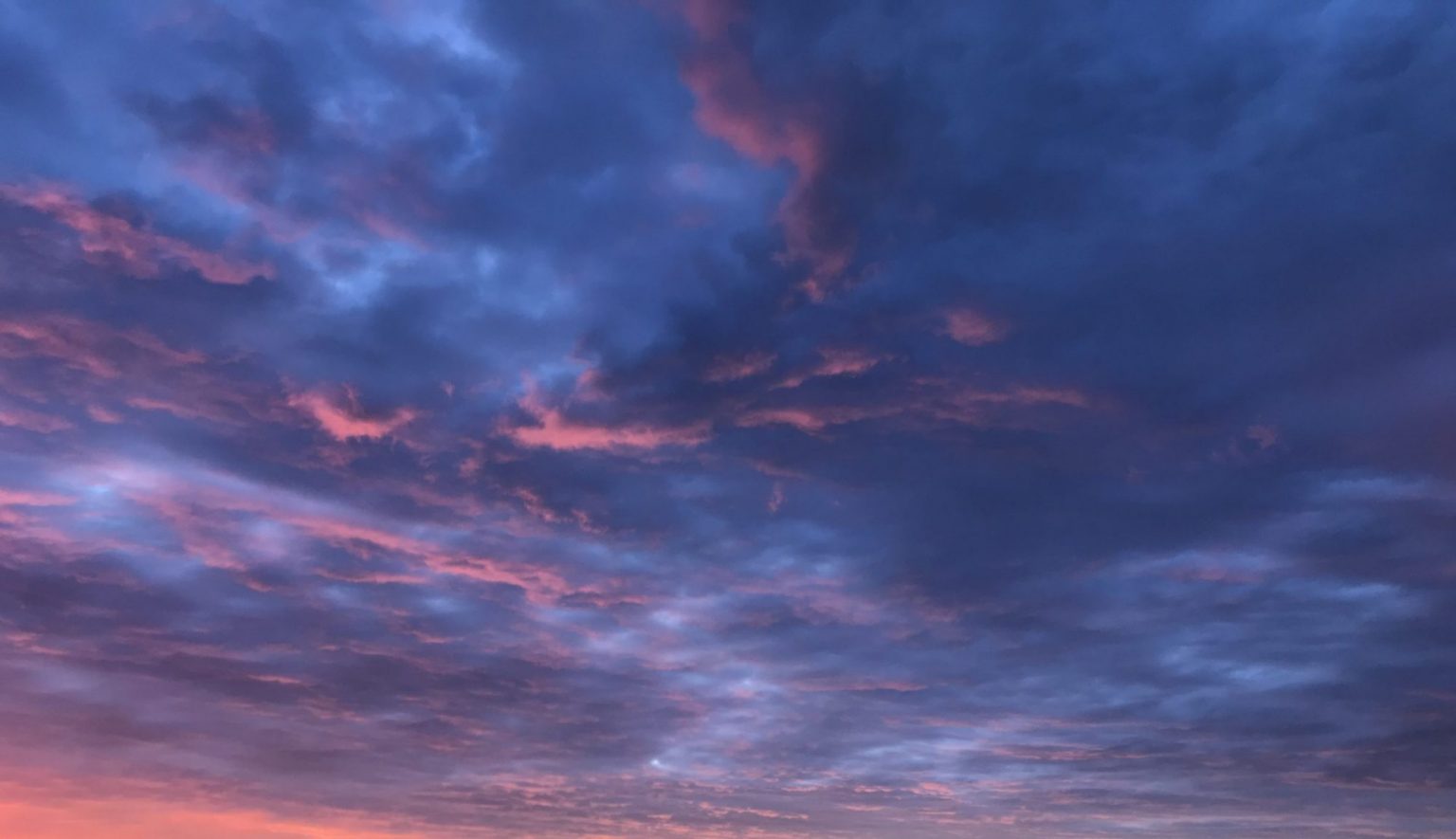 Book (Manhwa): Not Your Typical Reincarnation Story by Lemon Frog , A ...